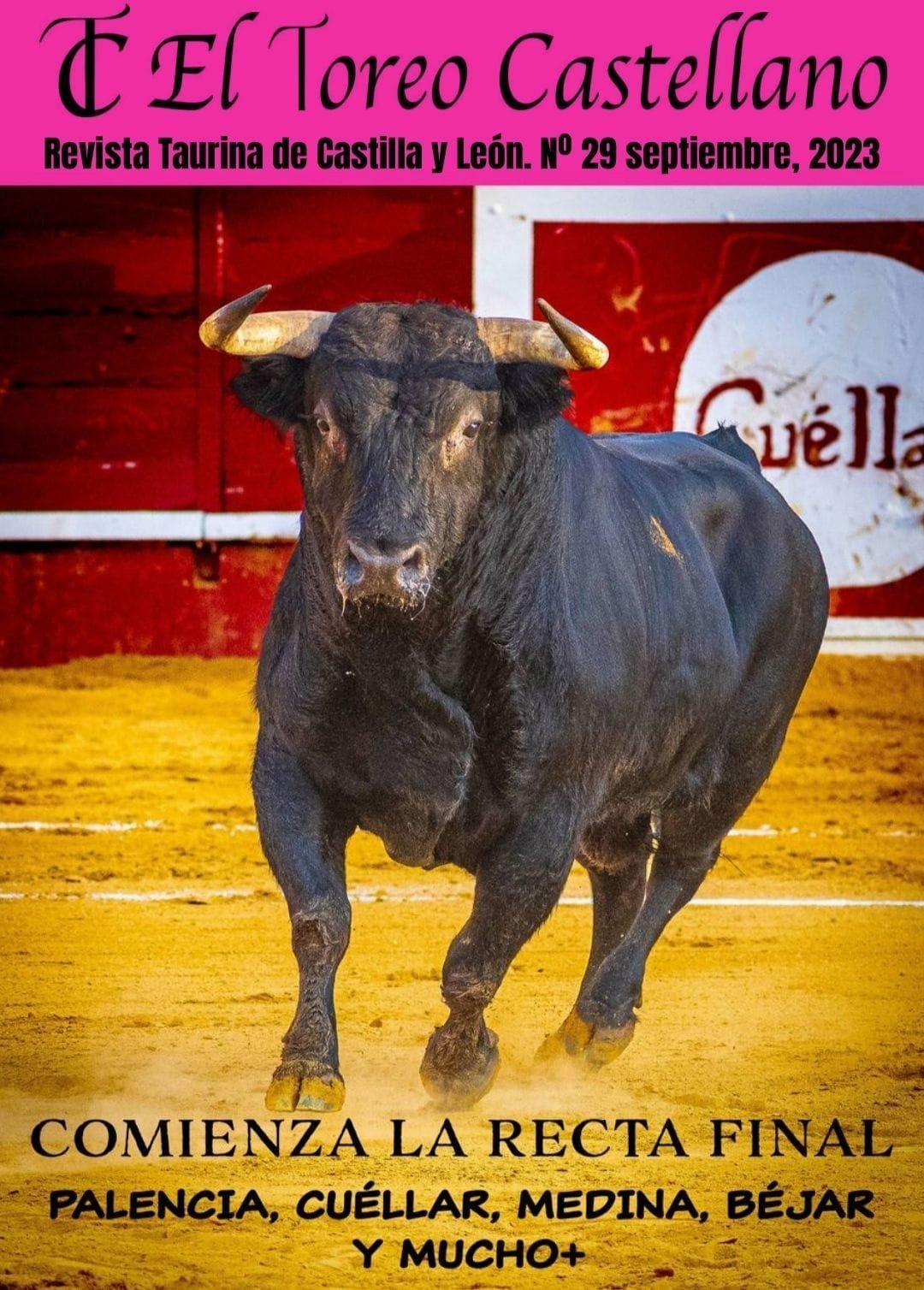 EL TOREO CASTELLANO